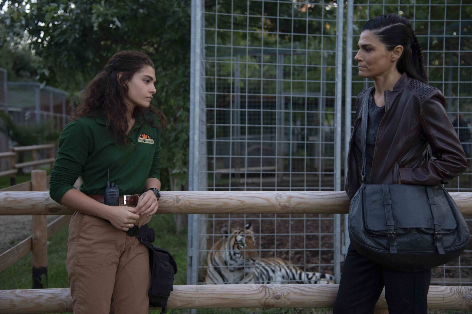 The Cage, al via le riprese del boxing movie con Aurora Giovinazzo e Brando Pacitto - Ciak Magazine